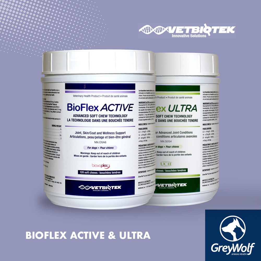 Grey Wolf Animal Health Products - Grey Wolf for Veterinary Professionals