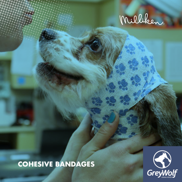 Grey Wolf Animal Health Products - Grey Wolf for Veterinary Professionals