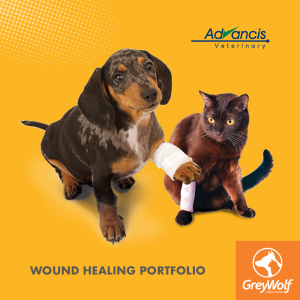 Grey Wolf Animal Health Products - FR - Grey Wolf for Veterinary ...