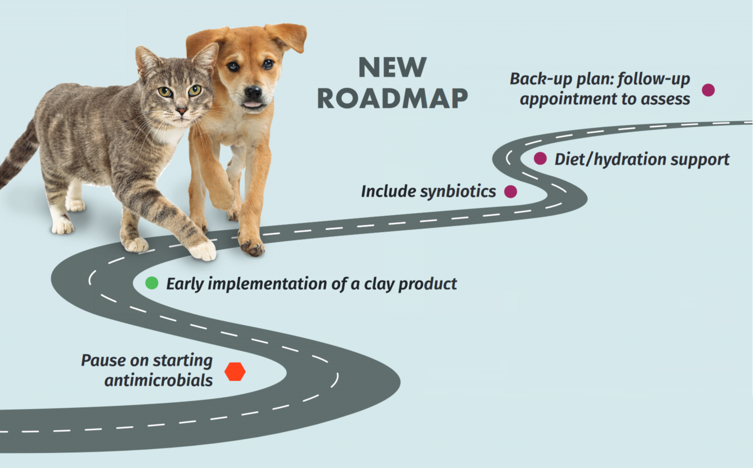 GI Portfolio - Grey Wolf for Veterinary Professionals