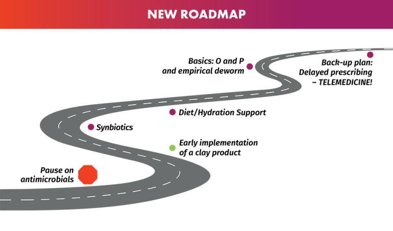 GI Portfolio - Grey Wolf for Veterinary Professionals